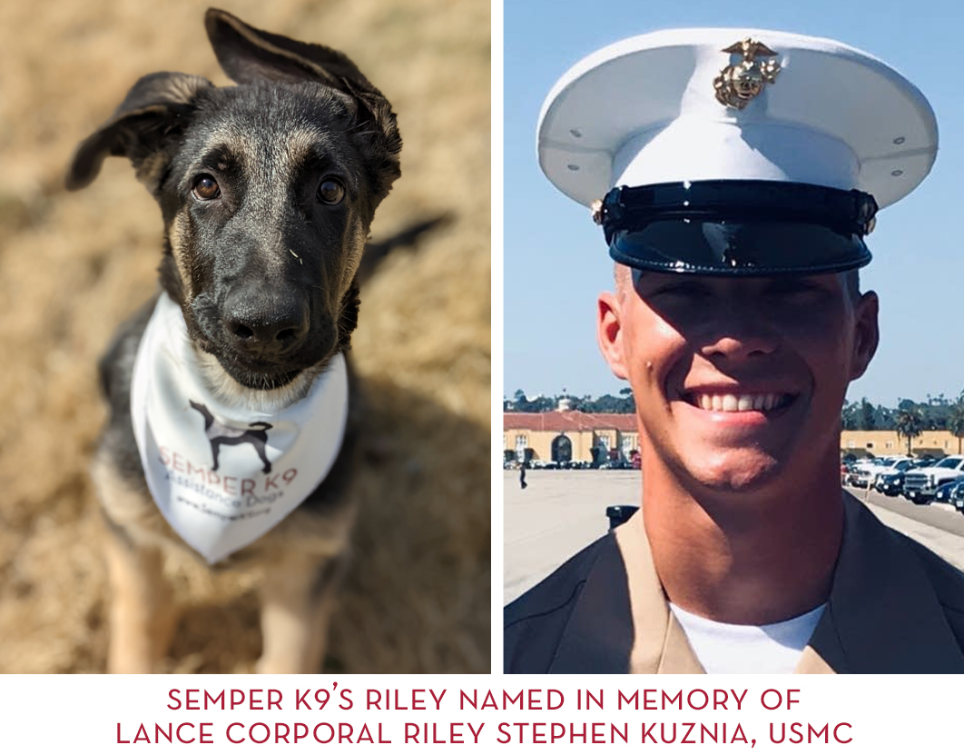 Memorial Gifts & Dedications - Semper K9 - Service Dogs for Veterans